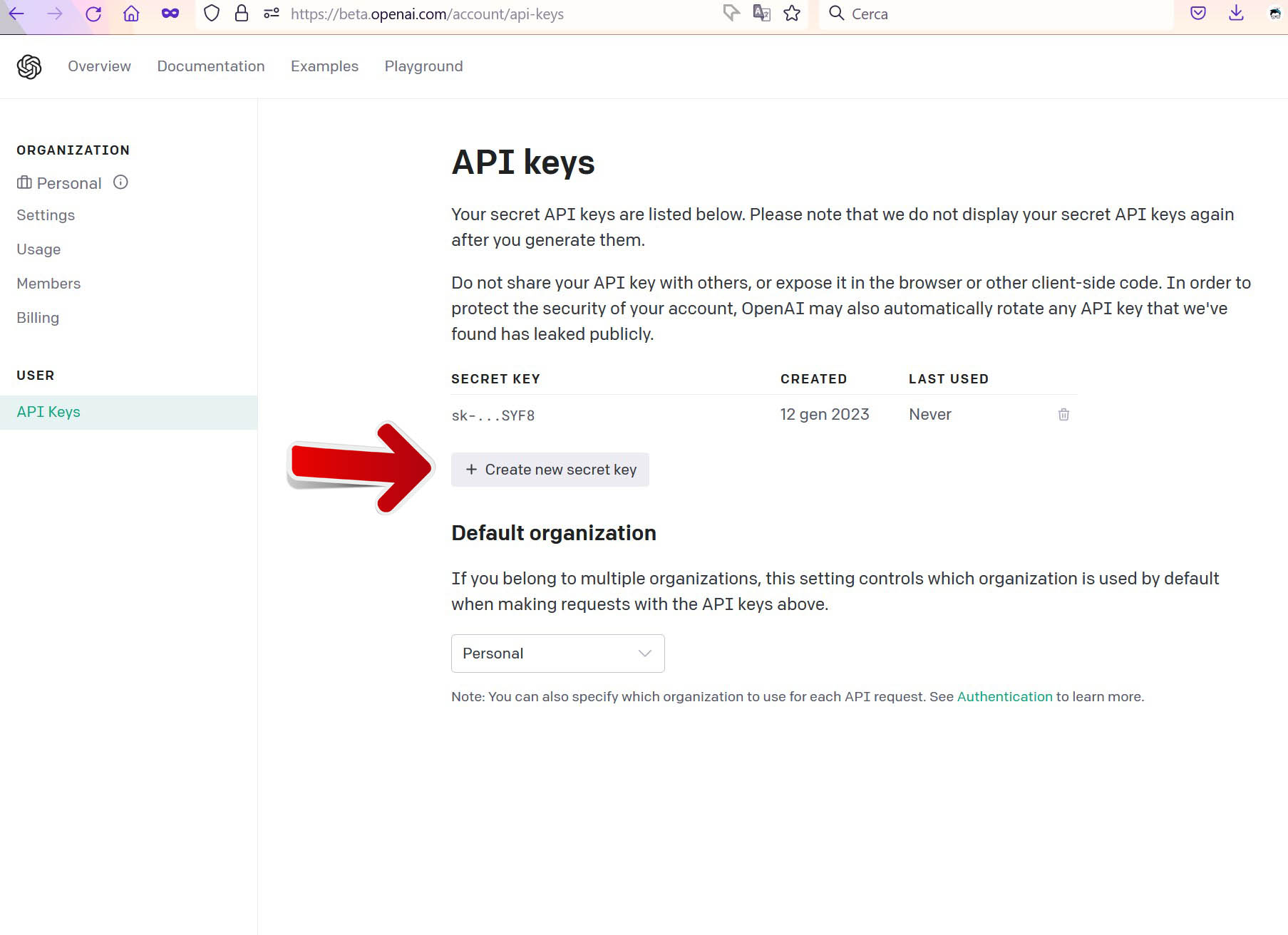 Openai Api Openai Api